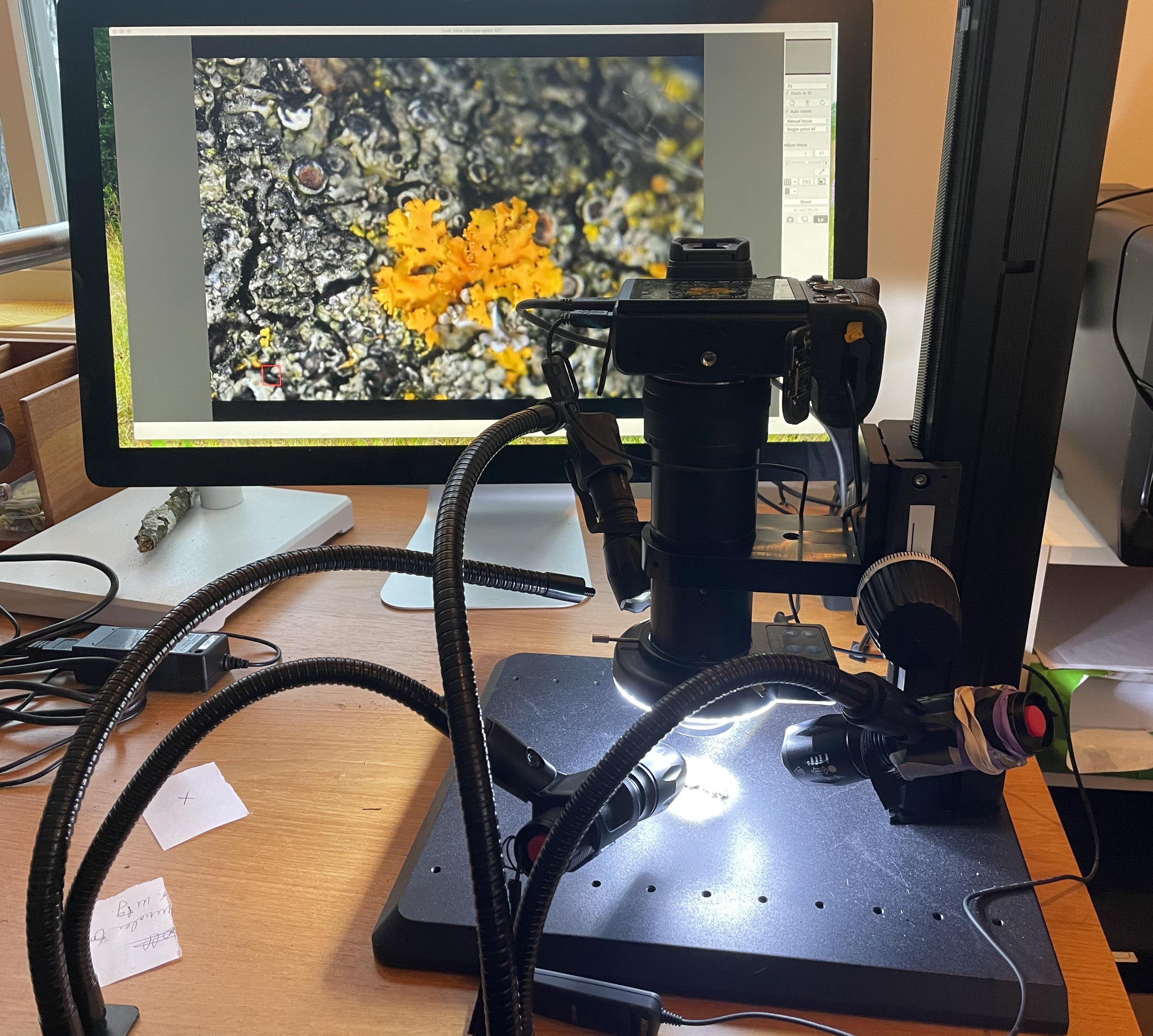 A micro photography rig for Marcie | Mike O'Connor